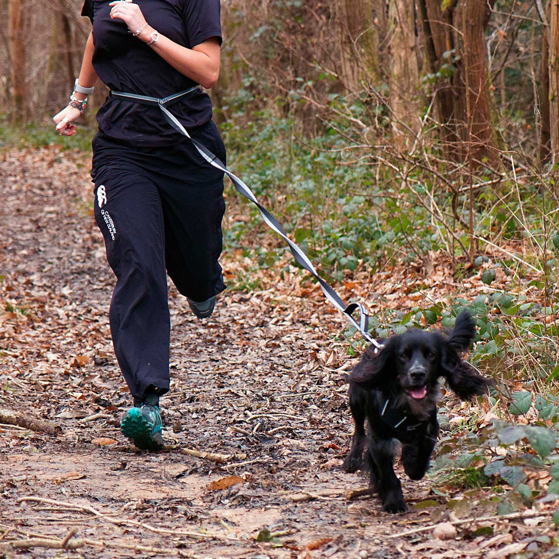 Shock Absorber Dog Lead | Bungee Dog Lead | Mountain Paws