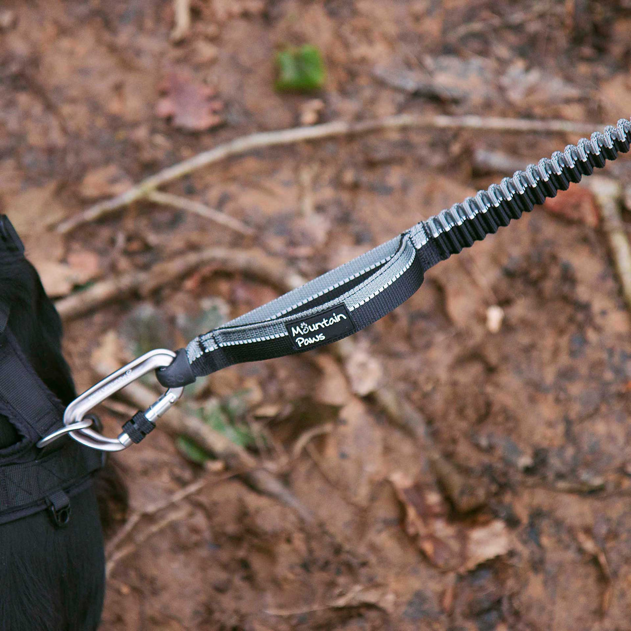 Shock Absorber Dog Lead | Bungee Dog Lead | Mountain Paws