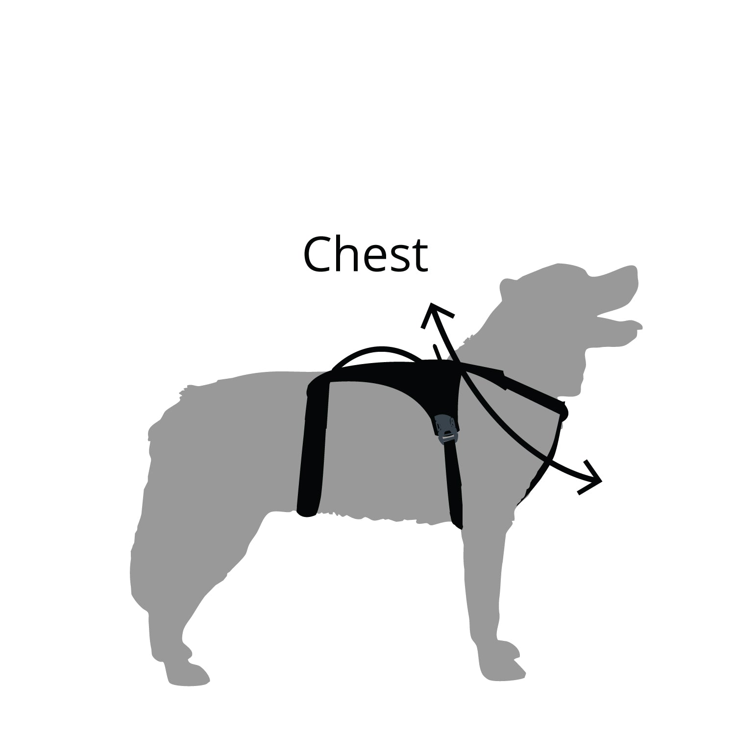 3 Strap Dog Harness | Mountain Paws