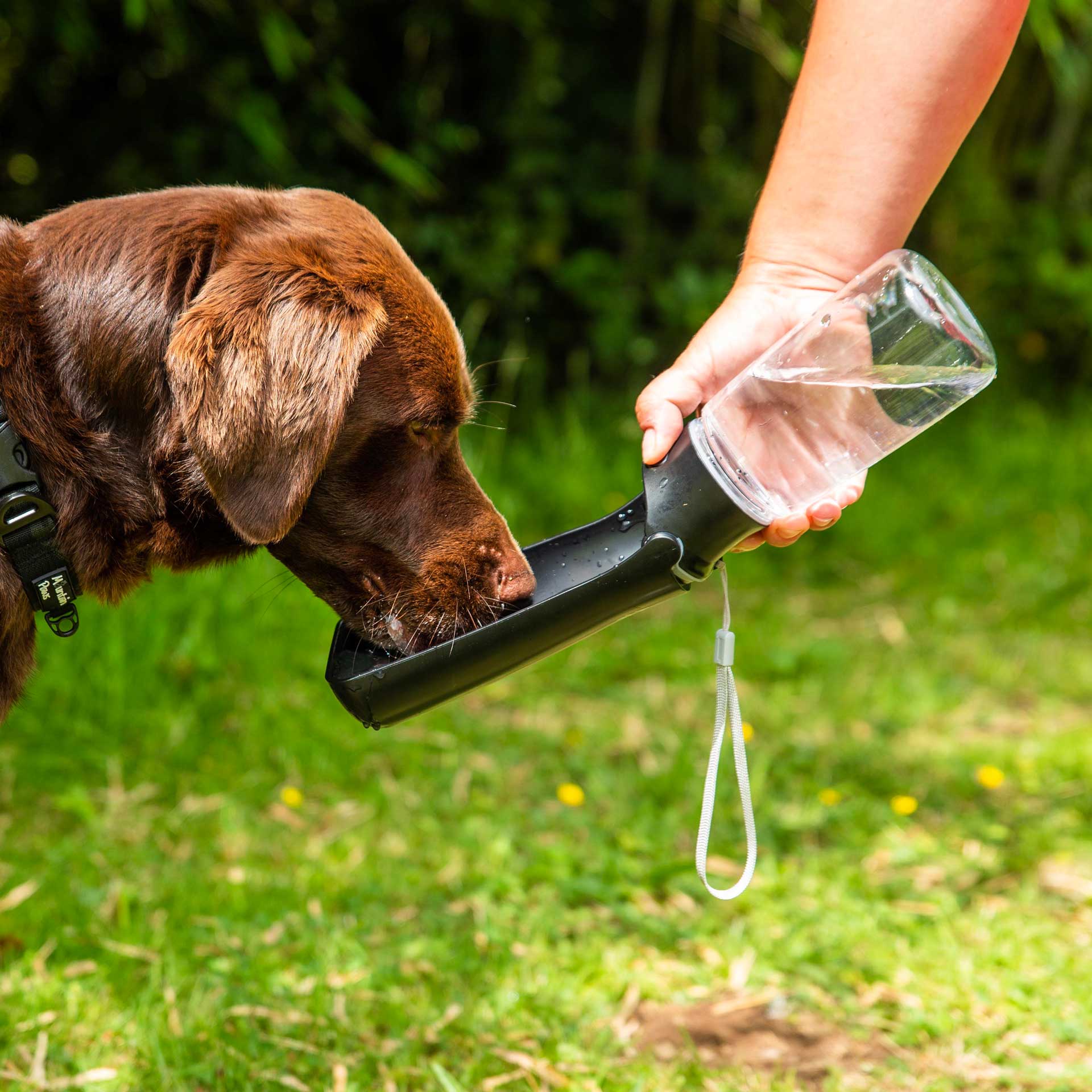Folding Dog Water Bottle | Mountain Paws