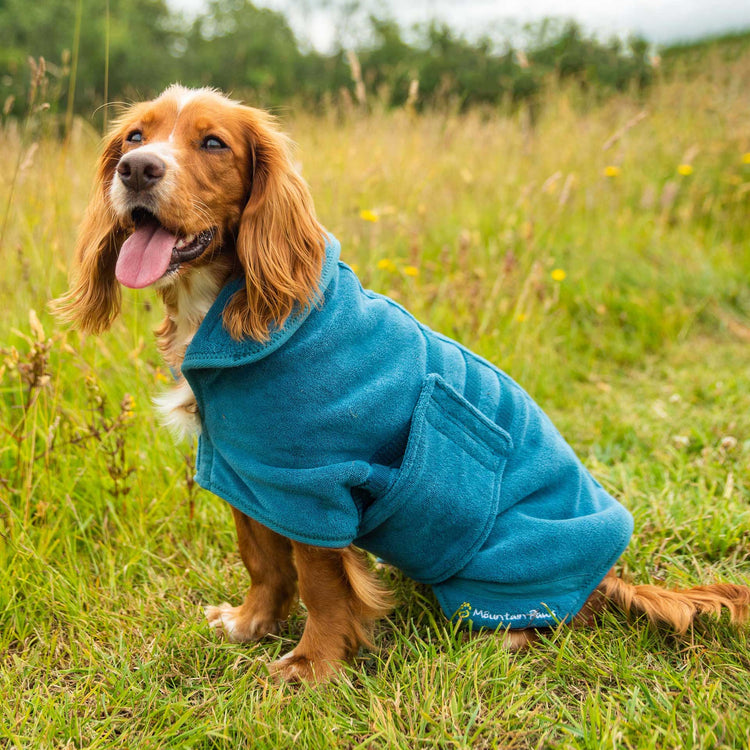 Dog Robe | Microfibre Dog Robe | Mountain Paws