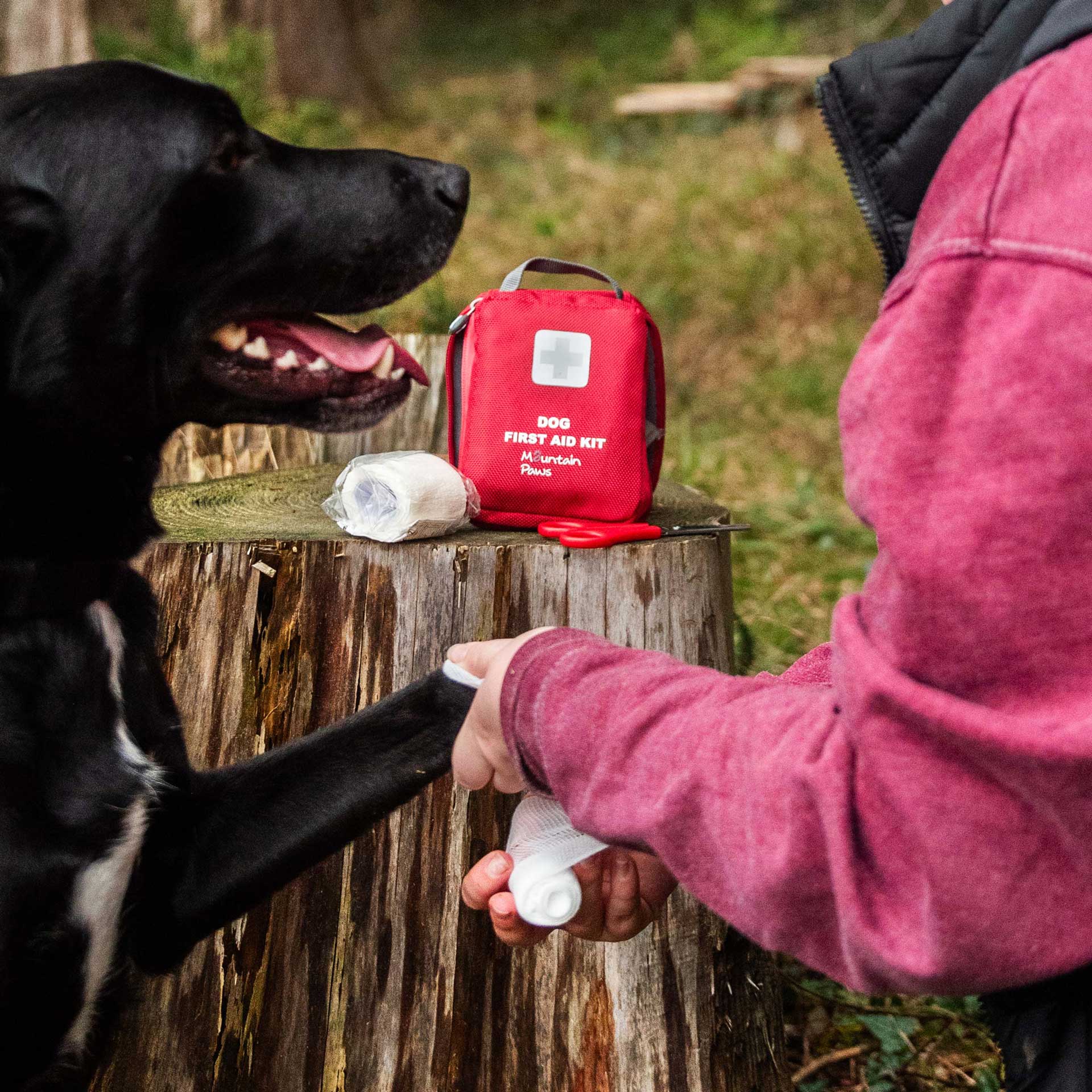 Dog First Aid Kit | Pet First Aid Kit | Mountain Paws
