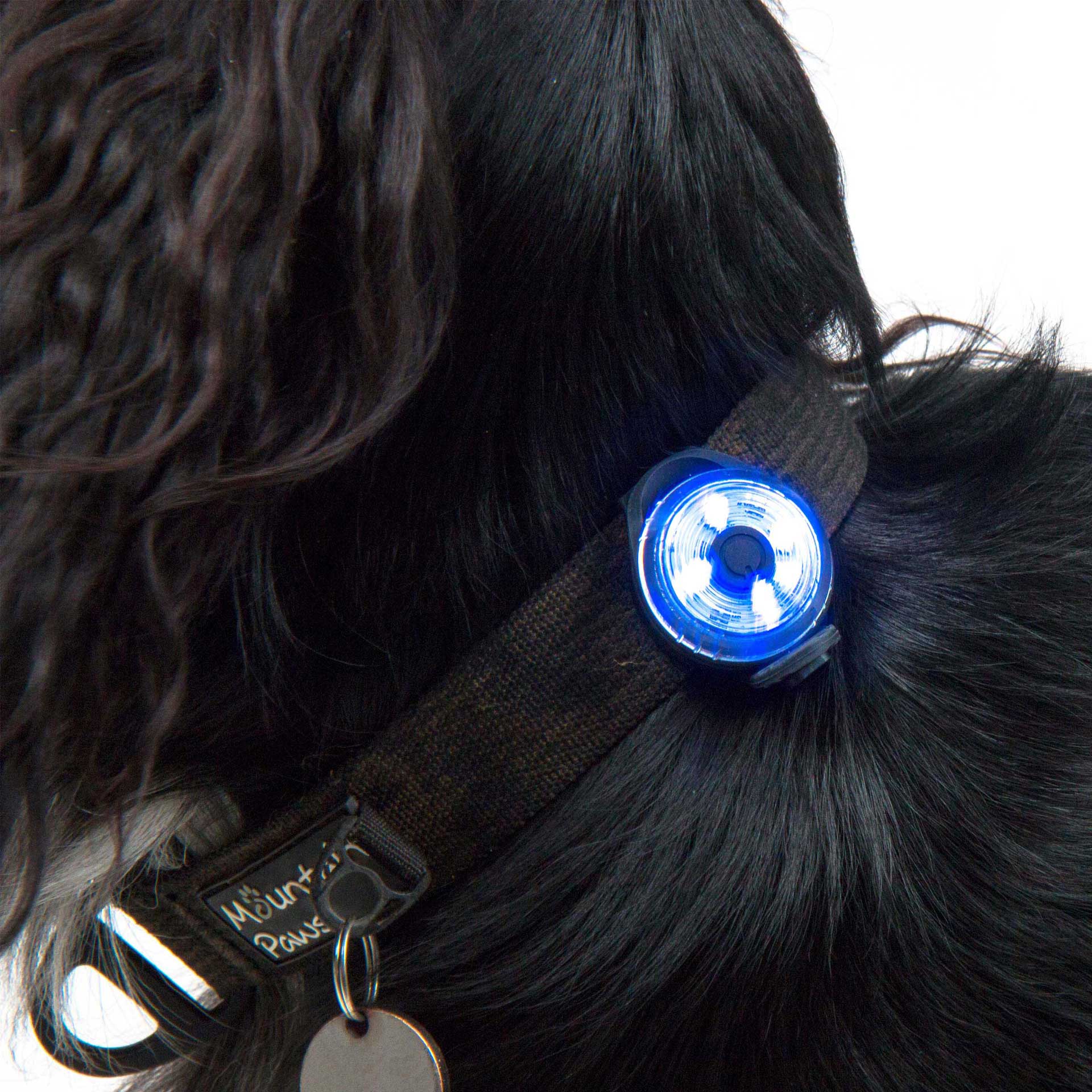 Dog Safety Light | Mountain Paws