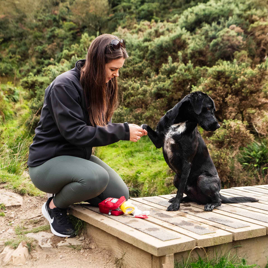 Compact Dog First Aid Kit | Pet First Aid Kit | Mountain Paws