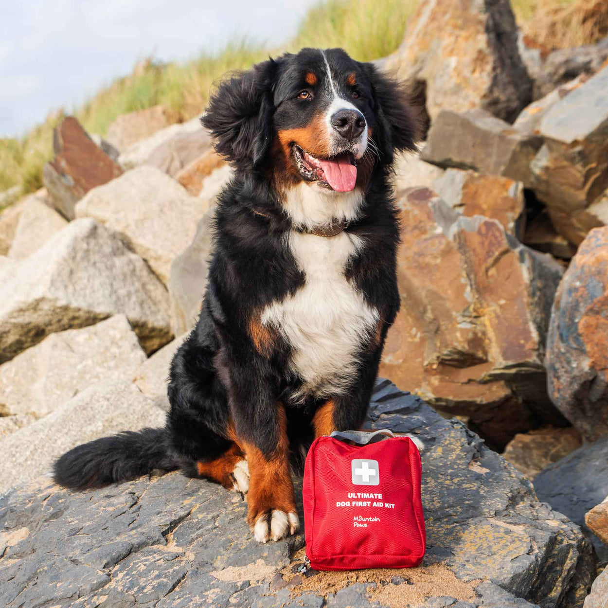 Ultimate Dog First Aid Kit | Pet First Aid Kit | Mountain Paws